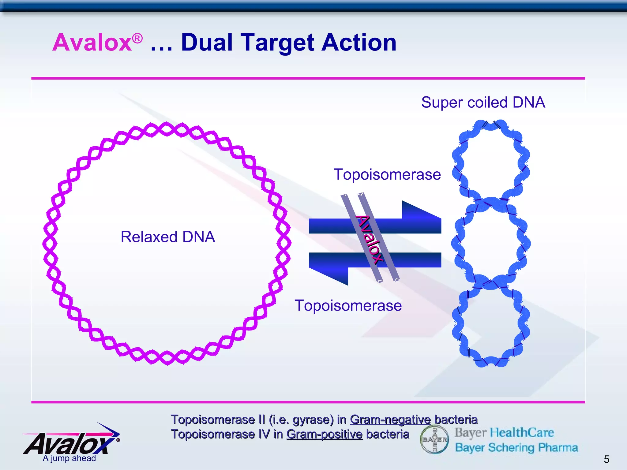 Avalox iv cap&sss is 1 | PPT