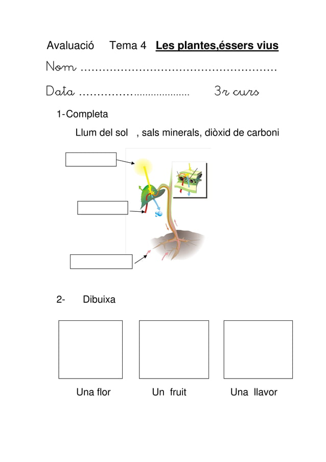 Avaluació les plantes, parts. | PDF