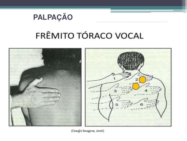 Exame físico do sist. respiratório