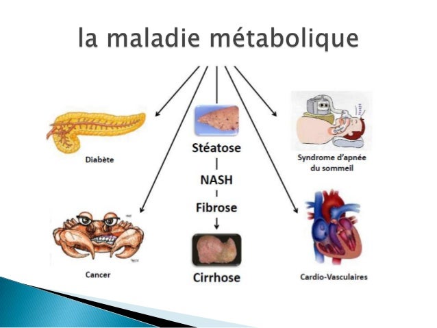 Avancees de la connaissance des maladies metaboliques du