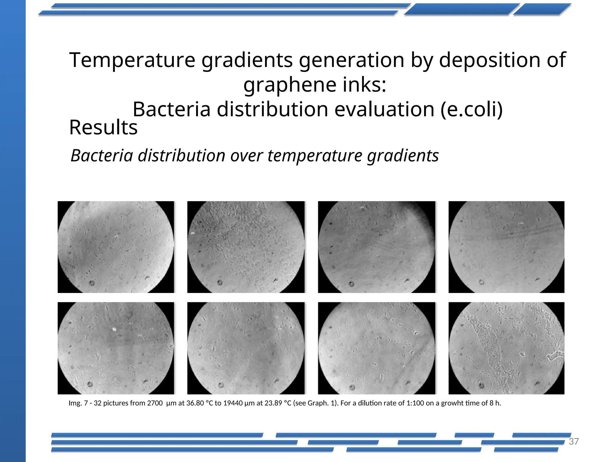 Bacteria distribution on thermal gradients Avances tesis Presentación.ppt