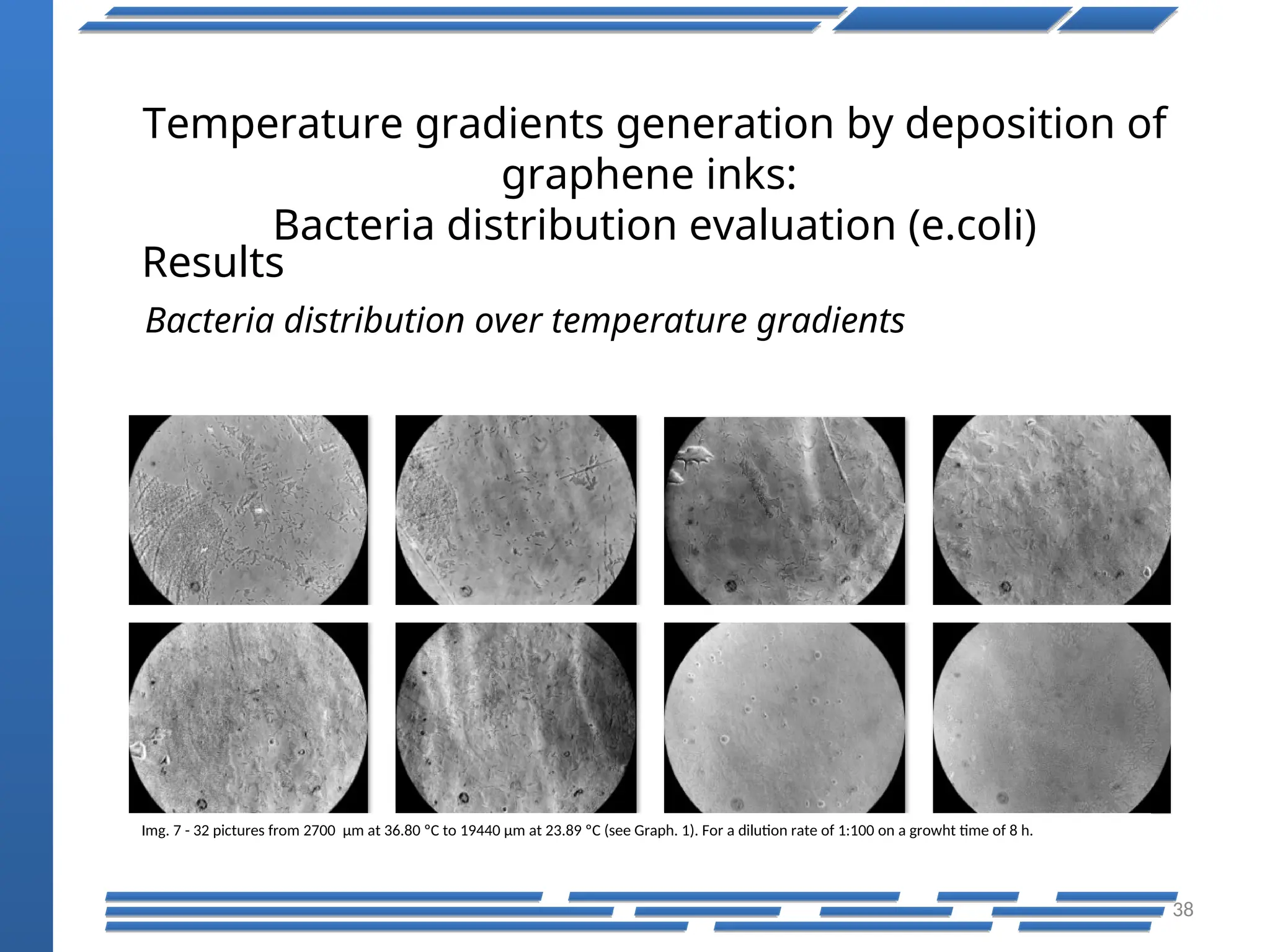 Bacteria distribution on thermal gradients Avances tesis Presentación.ppt