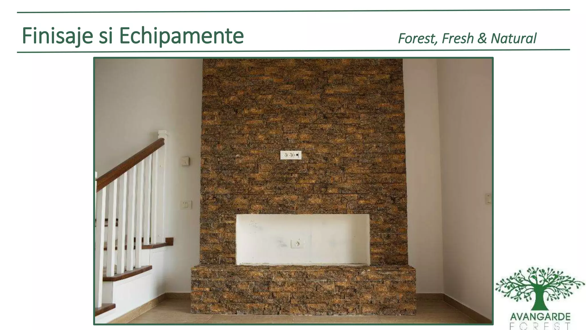 Avangarde Forest: Vile Pipera | PPTX