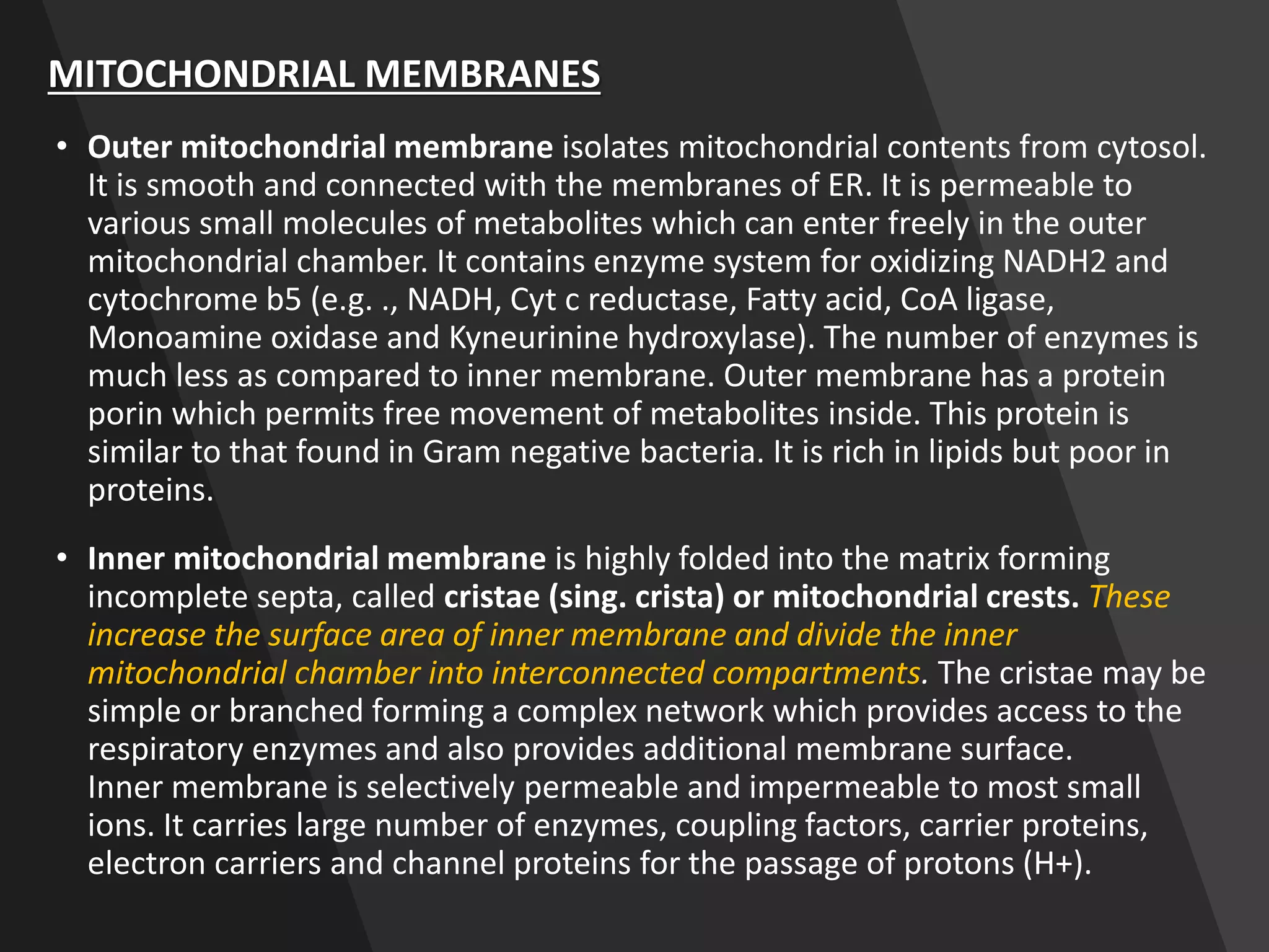 Mitochondria | PPTX
