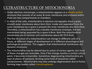 Mitochondria | PPTX