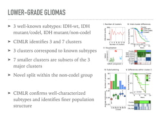 Avantika_Lal_CIMLR | PPT