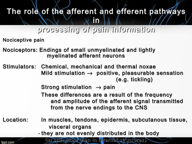 Pain perception and theories of pain | PPT