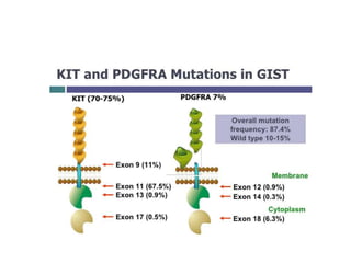 avapritinib ppt gist (gastrointestinal stromal tumor ppt).pptx