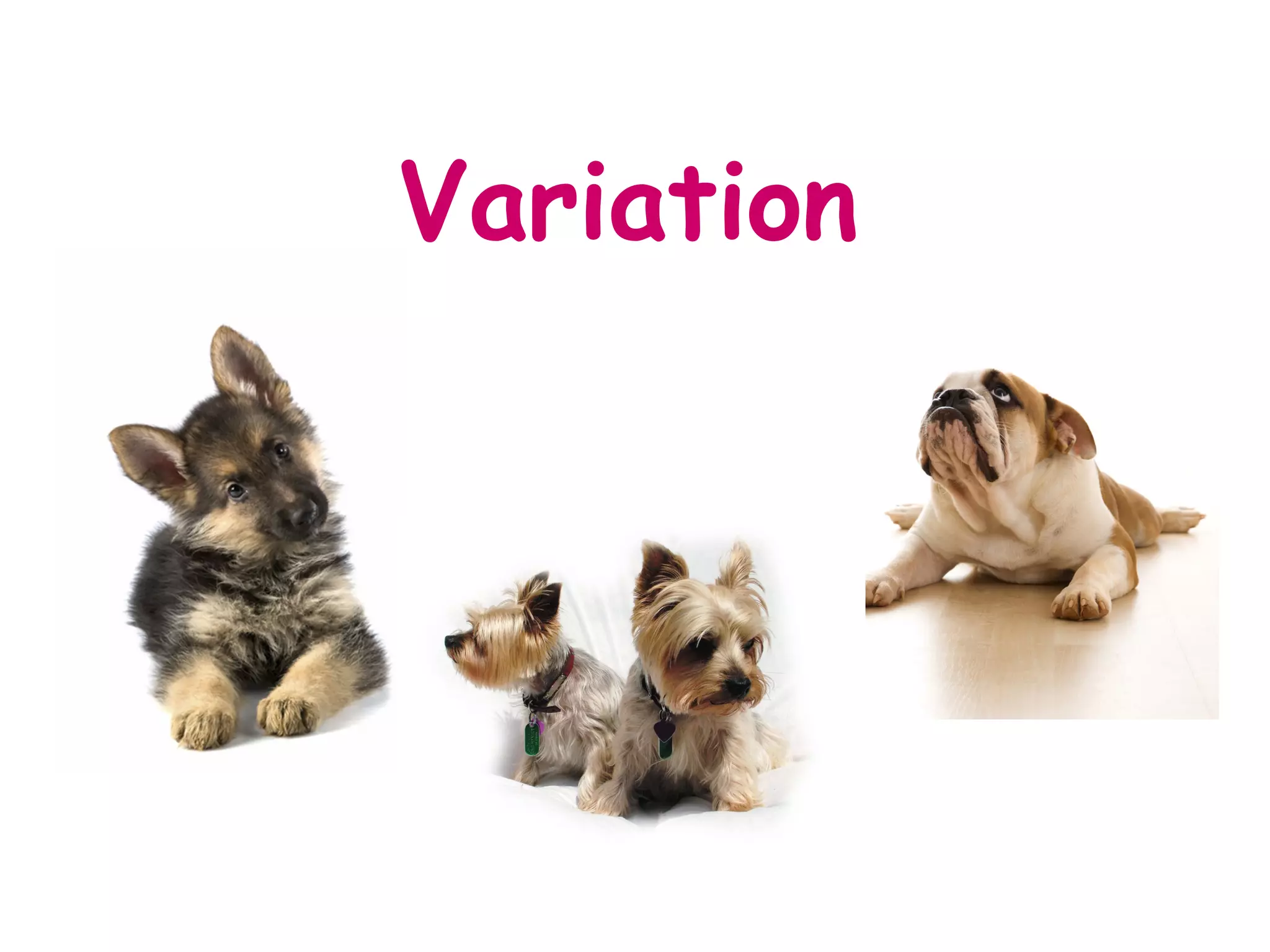 A) Variation | PPT