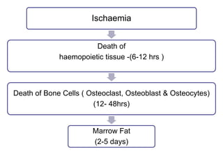 Avascular necrosis Radiology | PPTX