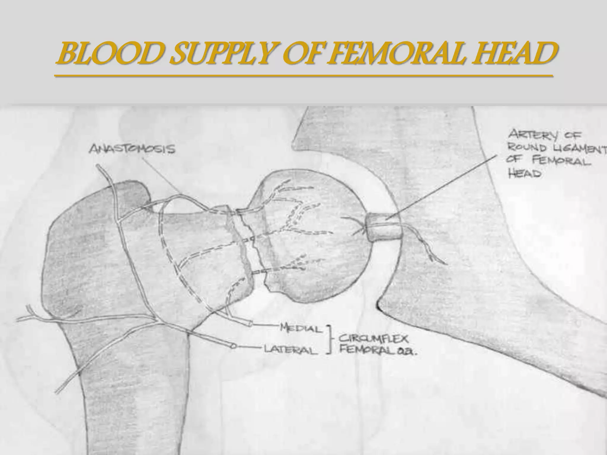 MEYER'S Procedure treatment for Avascular necrosis of femur head | PPTX