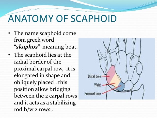 Avascular necrosis of scaphoid