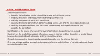 Pararectal Space Borders Clipart