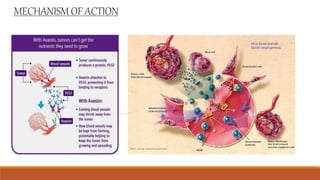 Bevacizumab Mechanism Of Action