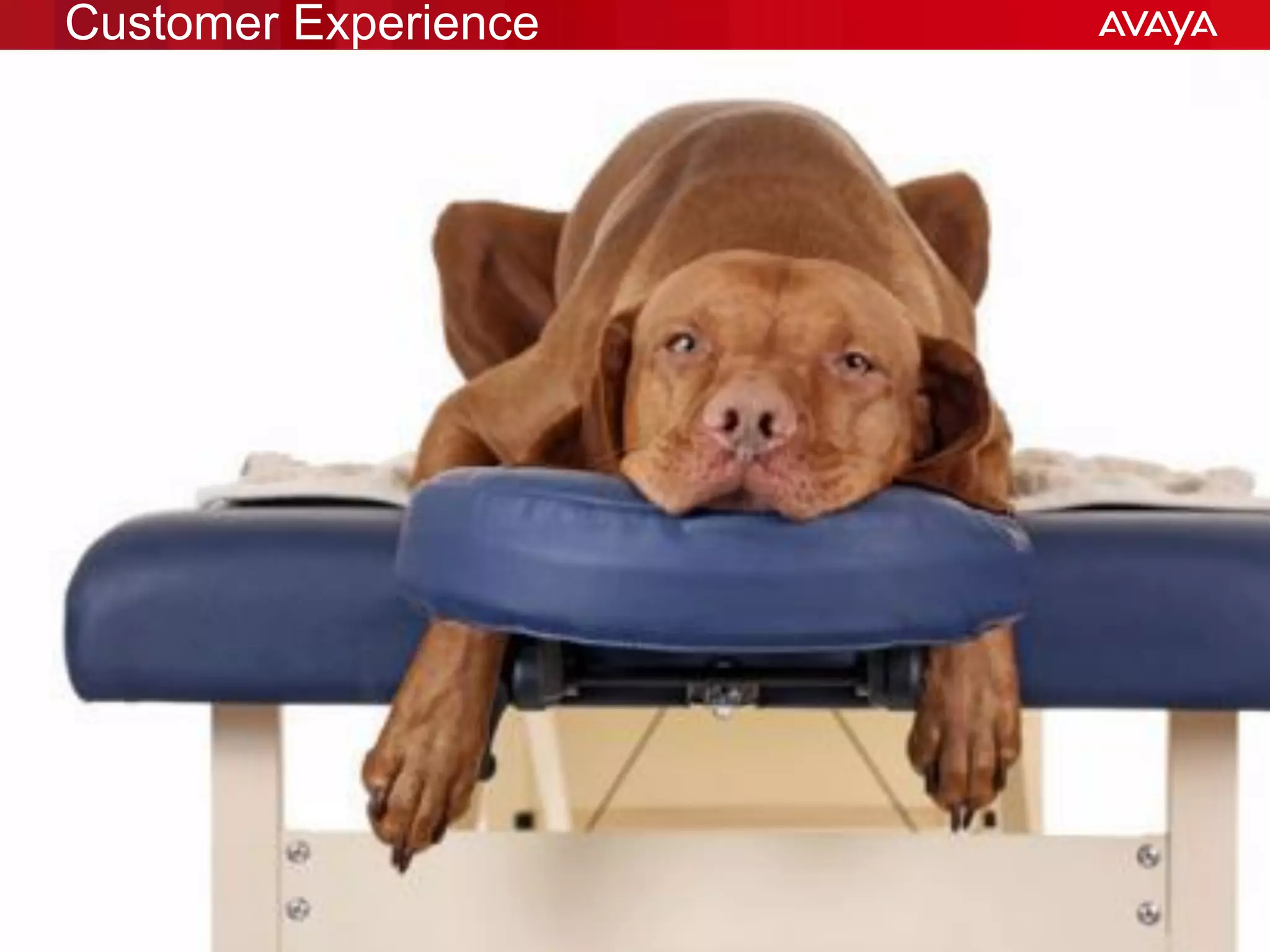 Avaya en Contact Center telefónica | PPT