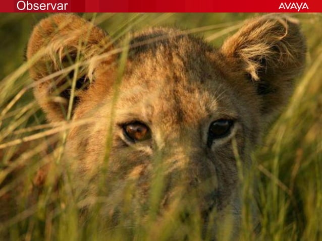 Avaya en Contact Center telefónica | PPT