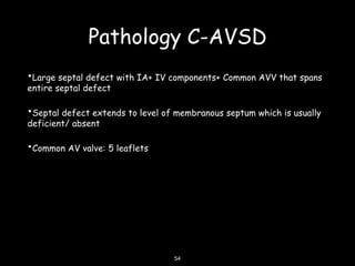 ATRIOVENTRICULAR SEPTAL DEFECT | PPTX