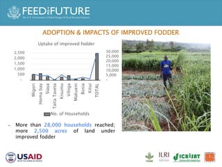 Accelerated Value Chain Development (AVCD) Dairy Component | PPT