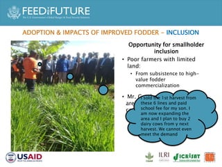 Accelerated Value Chain Development (AVCD) Dairy Component | PPT