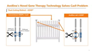 Avellino Labs OIS 2019 Deck | PPT