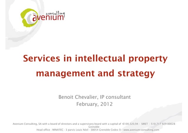 Avenium Consulting | PDF
