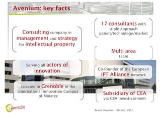 Avenium Consulting | PDF