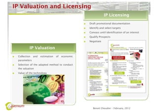 Avenium Consulting | PDF