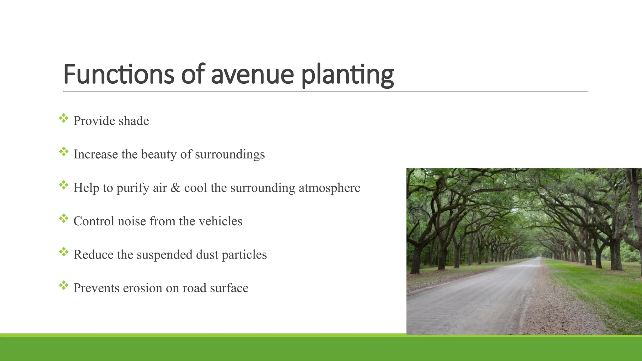 Avenue planting - Definition, function and types | PPTX