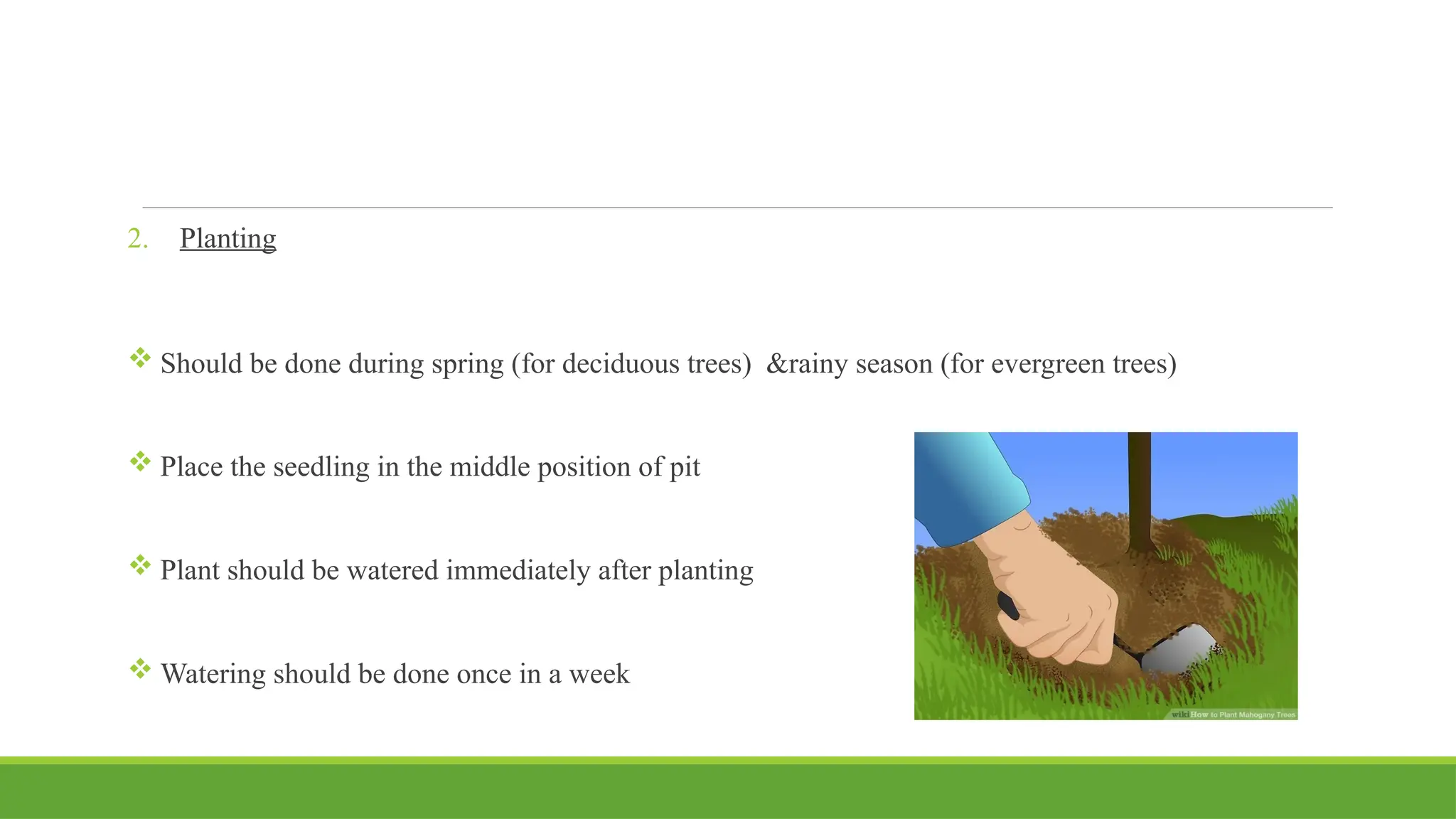 Avenue planting - Definition, function and types | PPTX