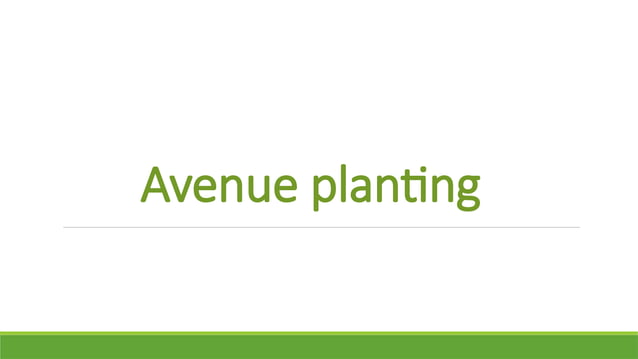 Avenue planting - Definition, function and types | PPTX