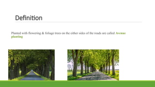 Avenue planting - Definition, function and types | PPTX