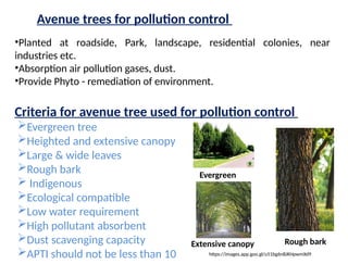 Avenue tree for pollution control .pptx