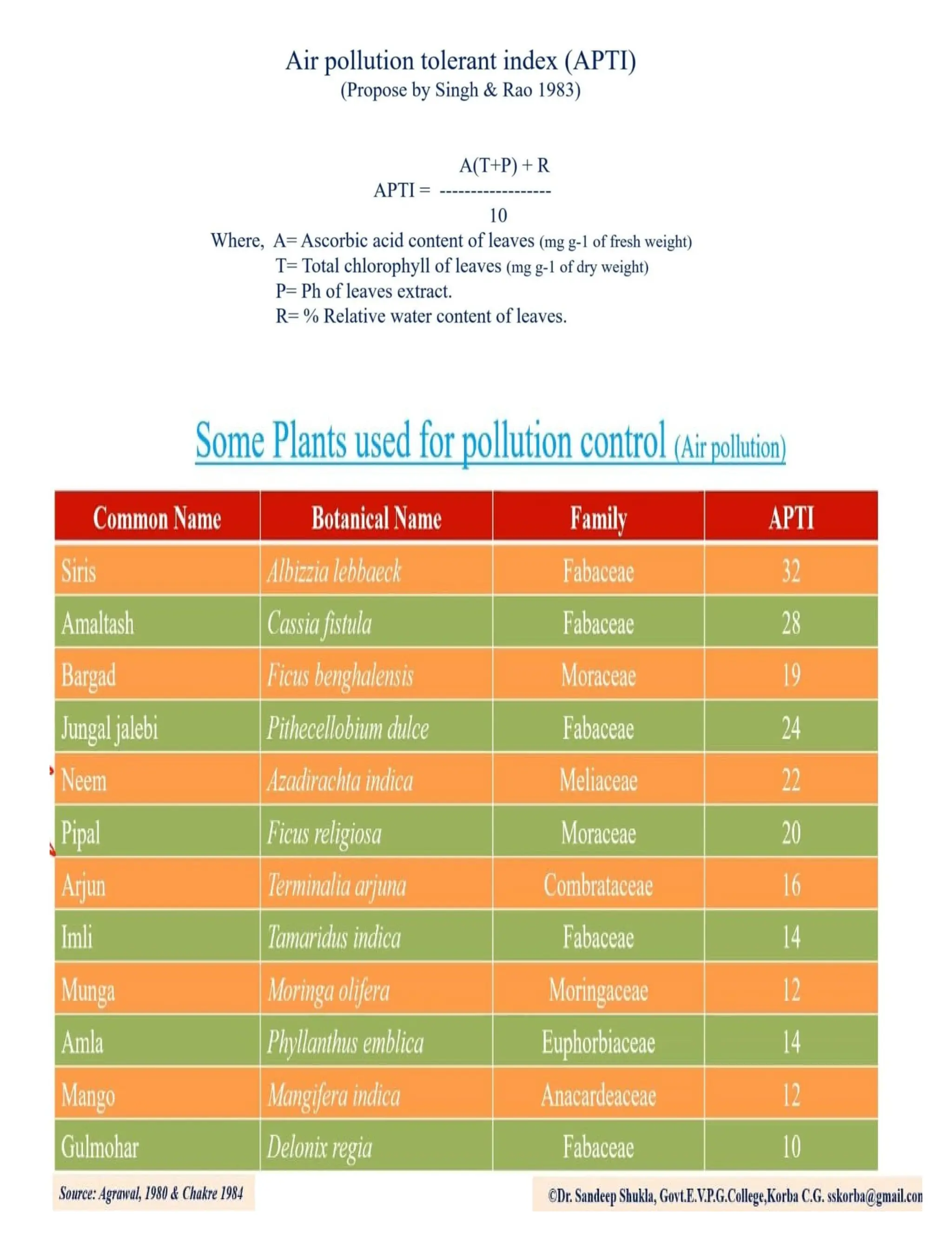 Avenue Tree Notes Pptx Pptx