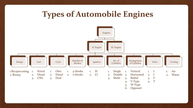 Averera Group 3.pptx
