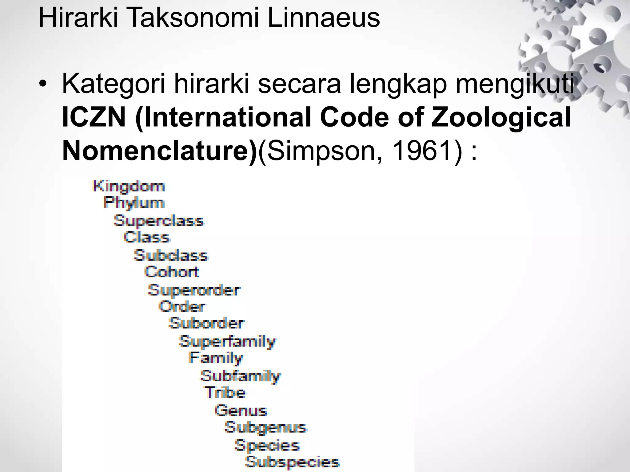 AVERTEBRATA AIR..1.pptx