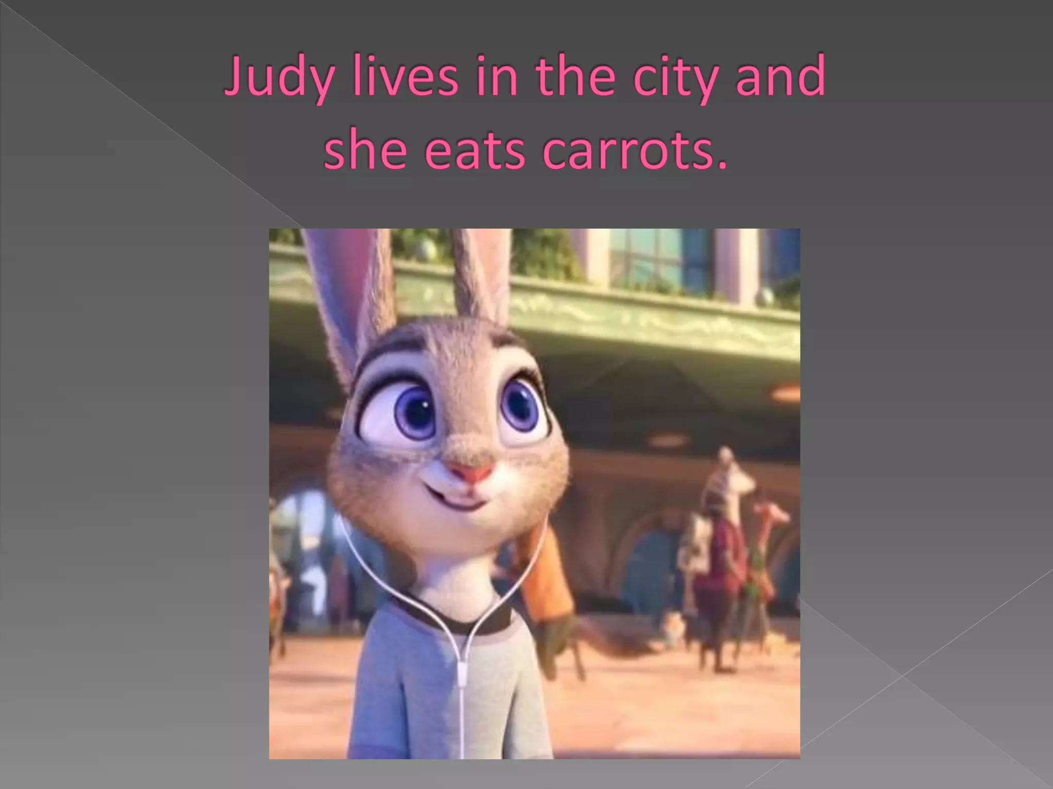 A very special rabbit | PPT