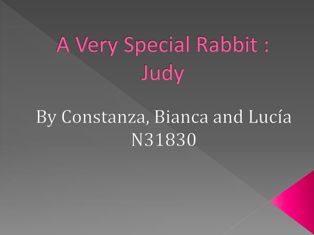 A very special rabbit | PPT