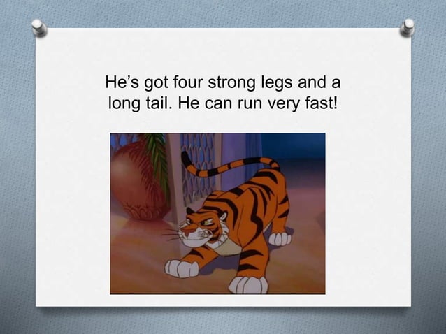 A very special tiger | PPT