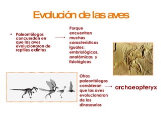 Aves Ppt