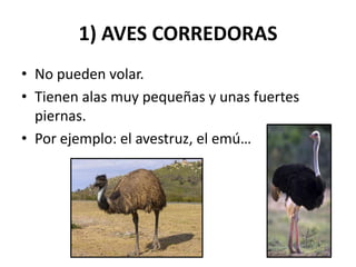 Aves primaria | PPTX