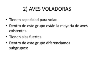 Aves primaria | PPTX