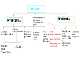 Aves | PPTX