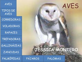 Aves | PPTX