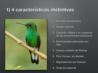 Especialidad de Aves.pdf