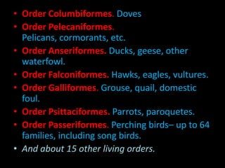 Aves neornithes | PPTX