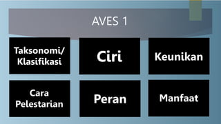 AVES 1.pptx