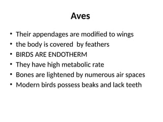 AVES (1).......................................pptx