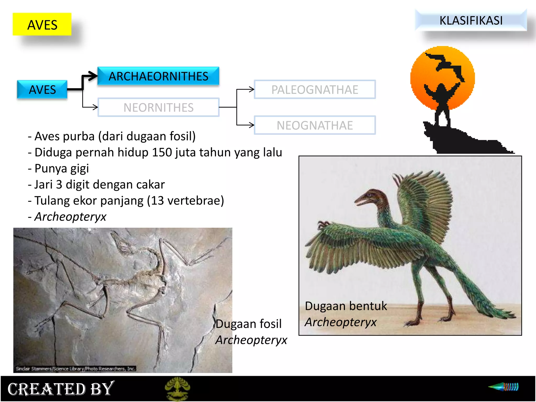Aves animated | PPSX