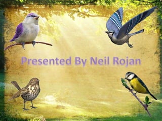 Aves [Birds] | PPTX