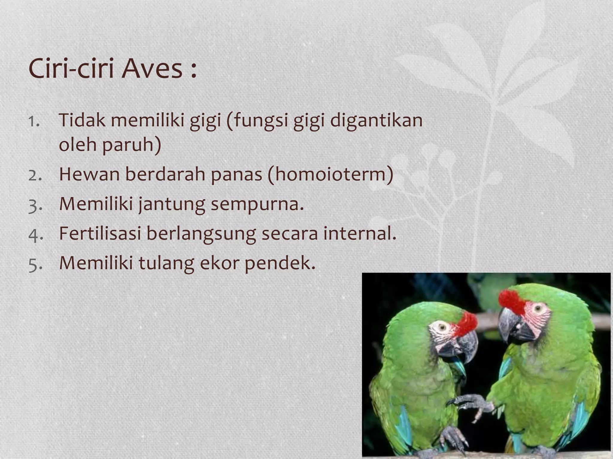 Aves (burung) | PPTX